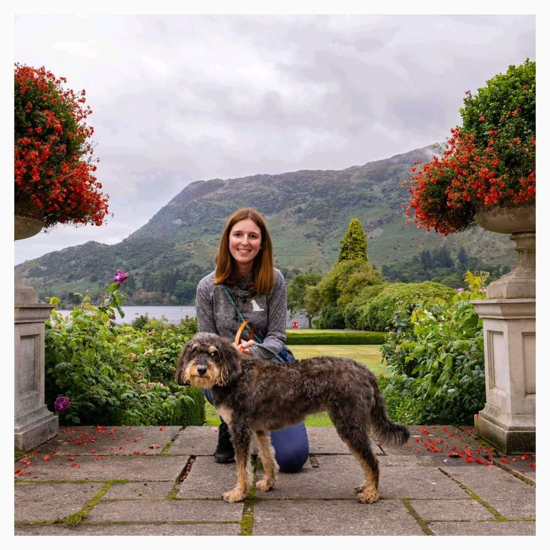 Membership - Cumbria Chamber of Commerce